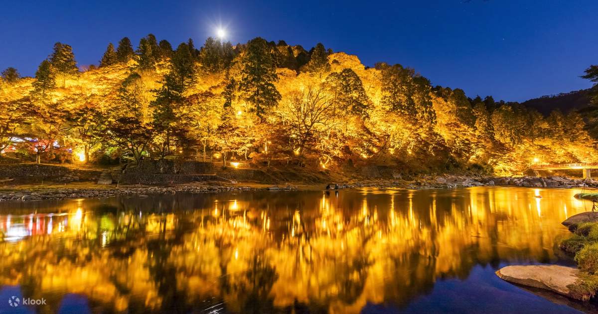 Korankei Ngắm nhìn những chiếc lá mùa thu Tour xe buýt 1 ngày từ Nagoya - Klook Việt Nam